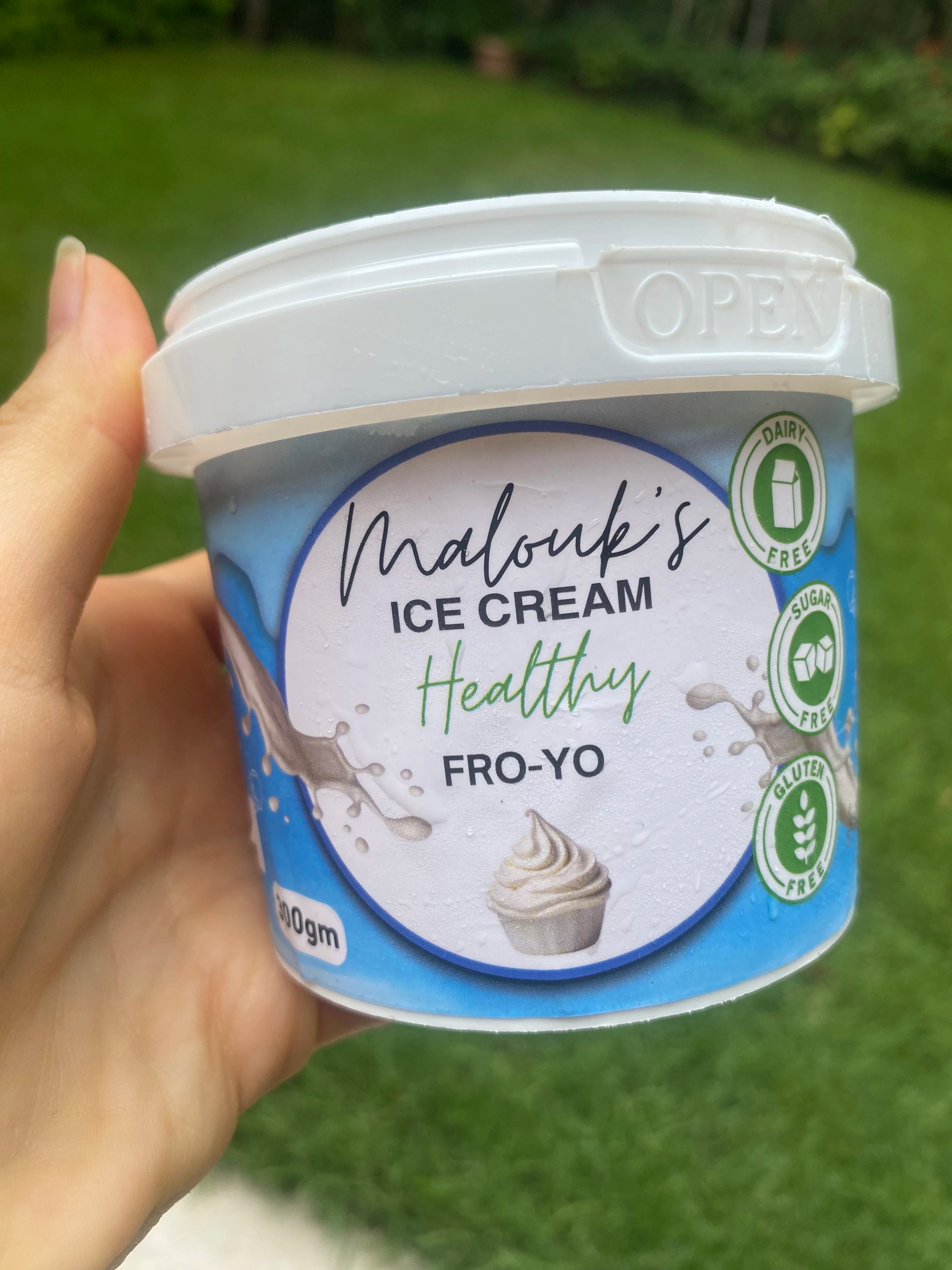 Fro-Yo Ice Cream – maloukeats